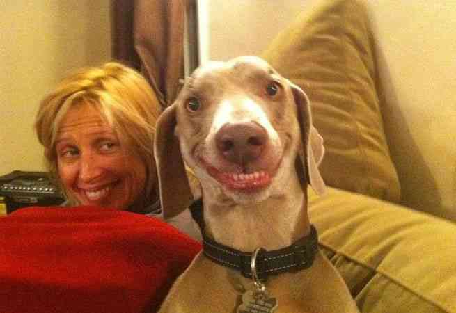 El perro sonriente - Mascotalia